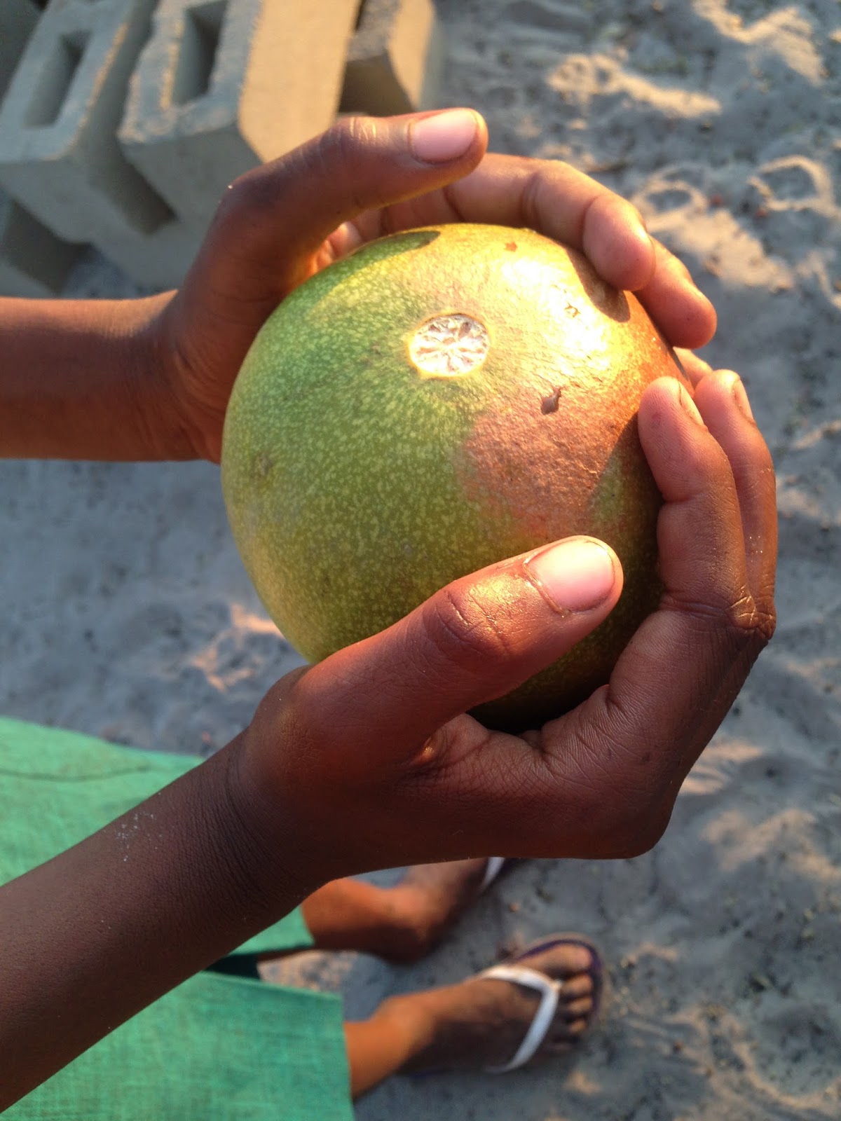 Jamie's Nam Bam Adventures! Peace Corps Namibia: Nom Nom Nom! On the ...