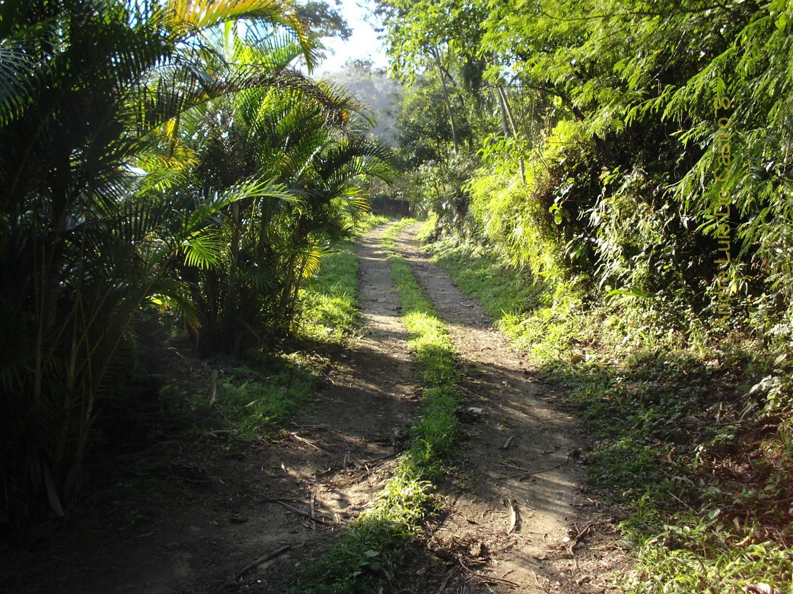 Trilhas e Pedais : Travessia Caminho do Quitite x Estrada do Sertão