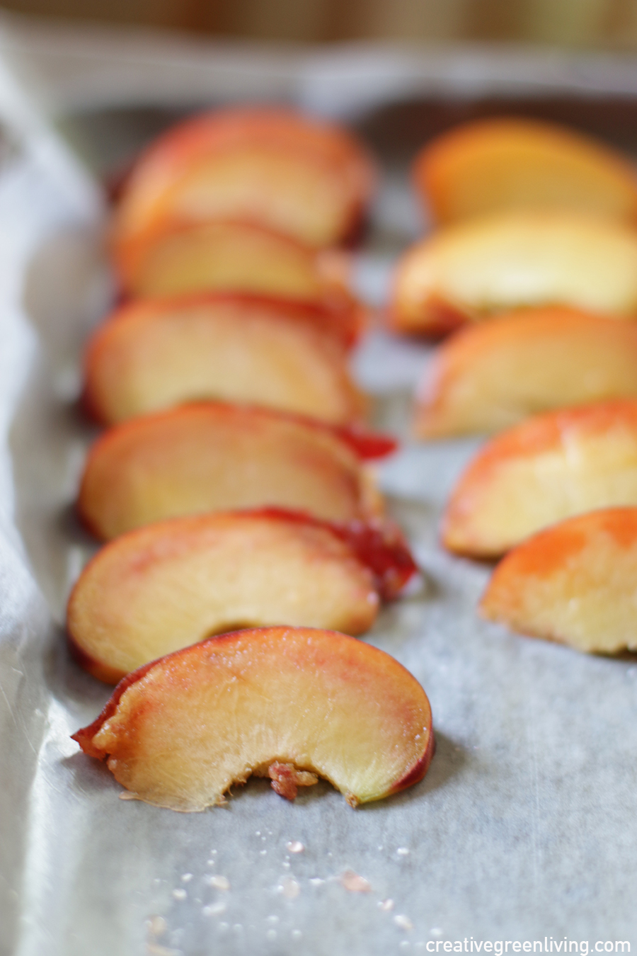 How to Preserve Fresh Fruit in the Freezer - The NO Sugar Method ...