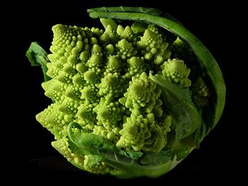 Superinteressante -- Blog Super Interessante: Couve romanesca Objeto ...