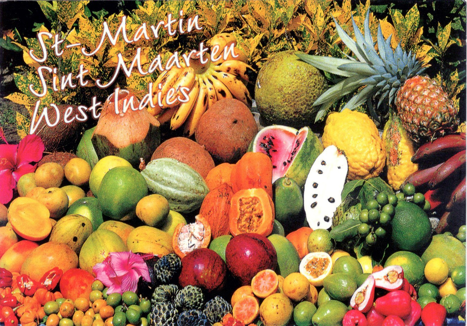 WORLD, COME TO MY HOME!: 1919-1922 FRANCE (Saint Martin) - Market Day ...