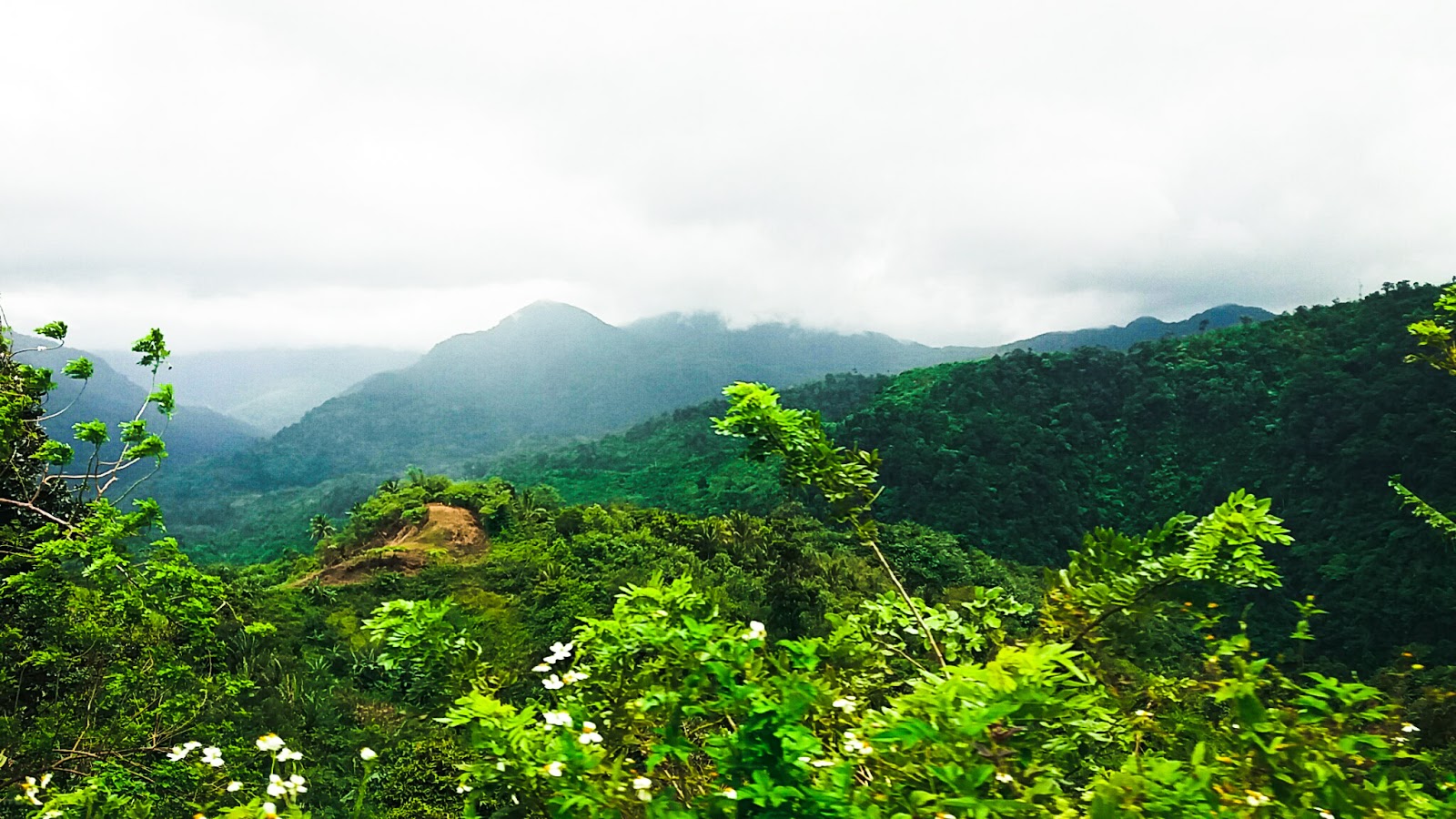 Lakbay Hugot: Patag Mountain Resort, Silay City, Negros Occidental ...