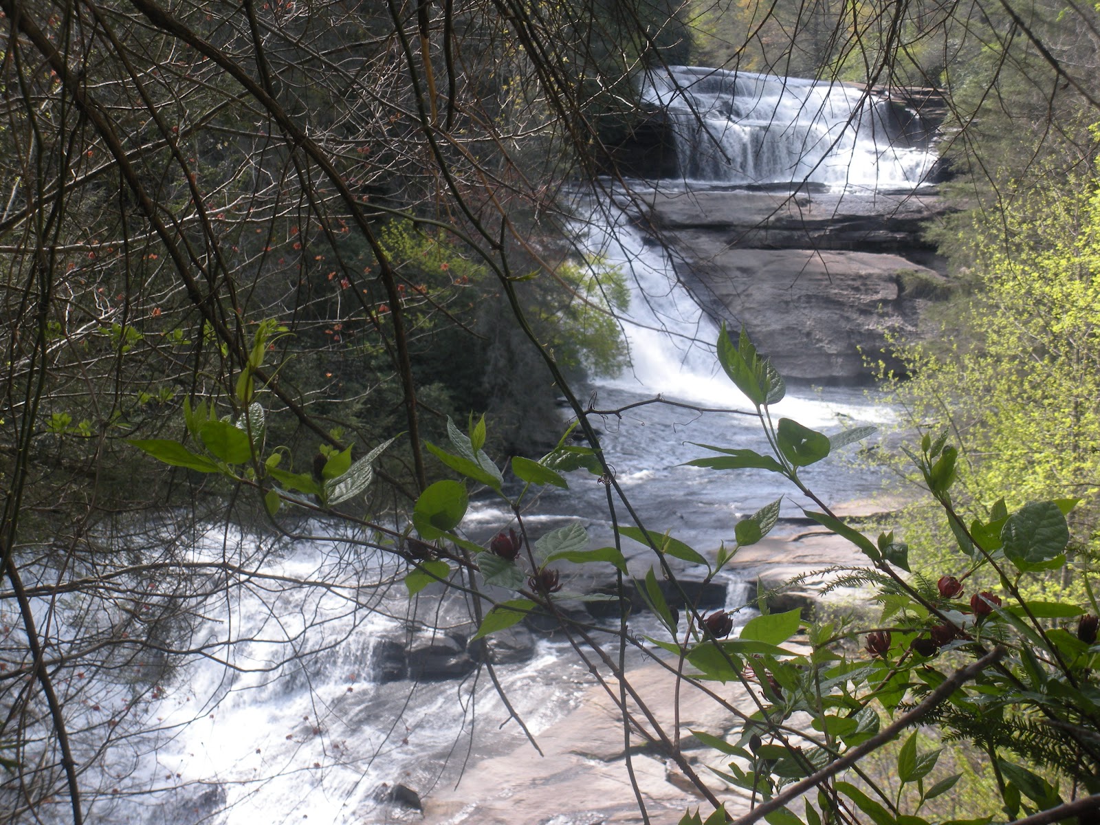 Waterfalls Wake the Wow in Me | Rajdeep Paulus