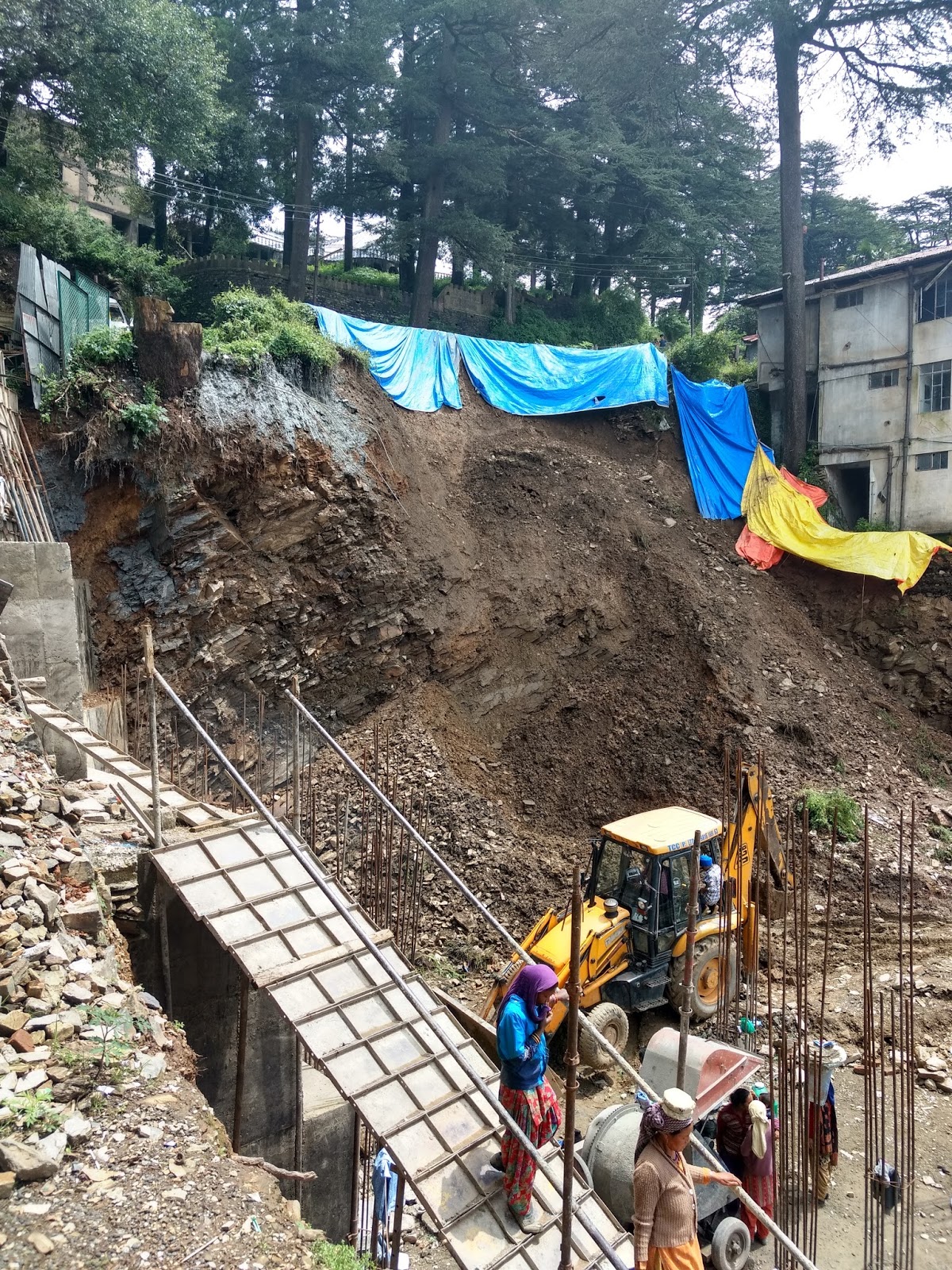 Catching Flies: Tracing some ornithological roots