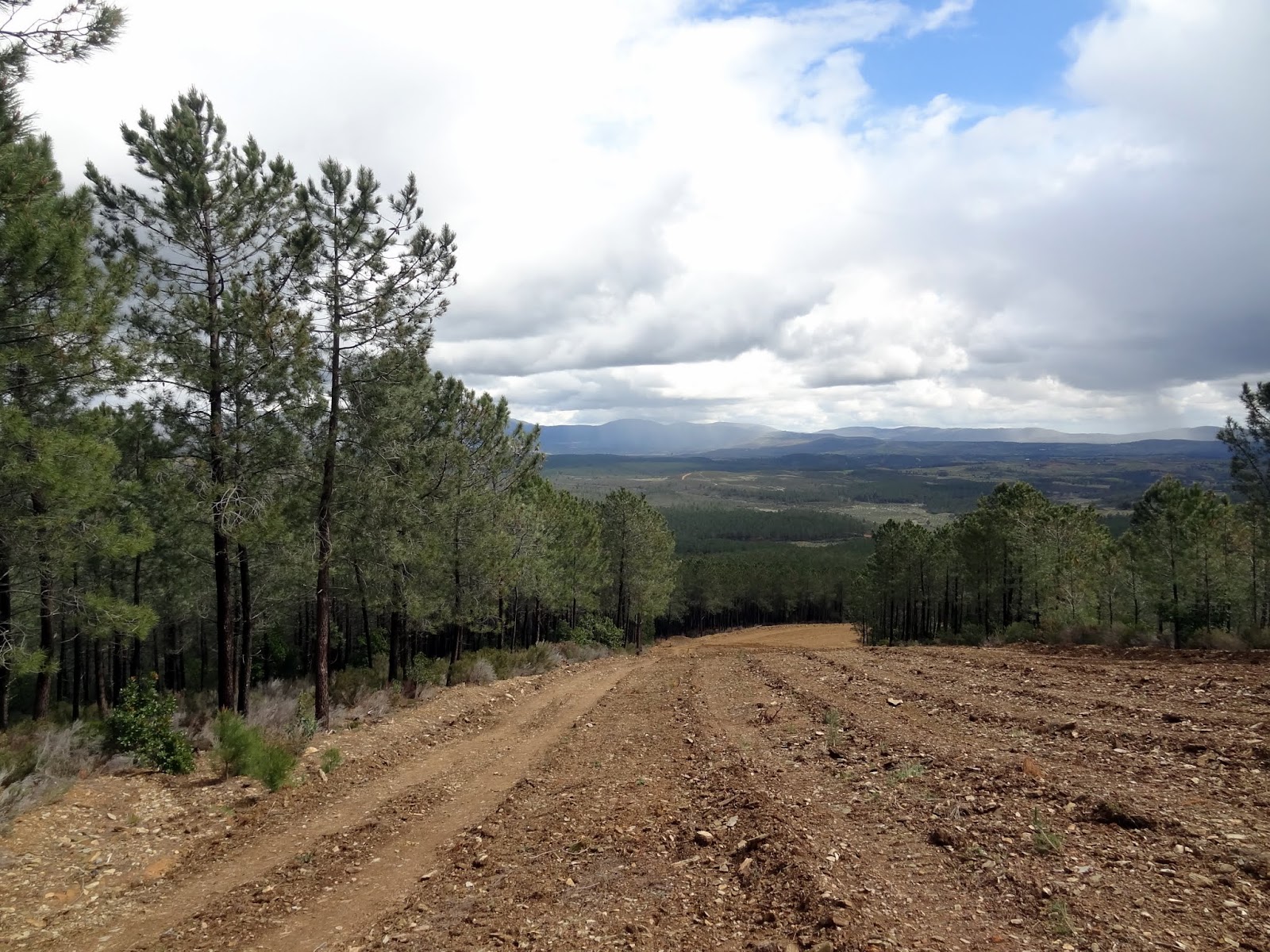 Por fragas e pragas...: Segredos e Mistérios da Marvana...