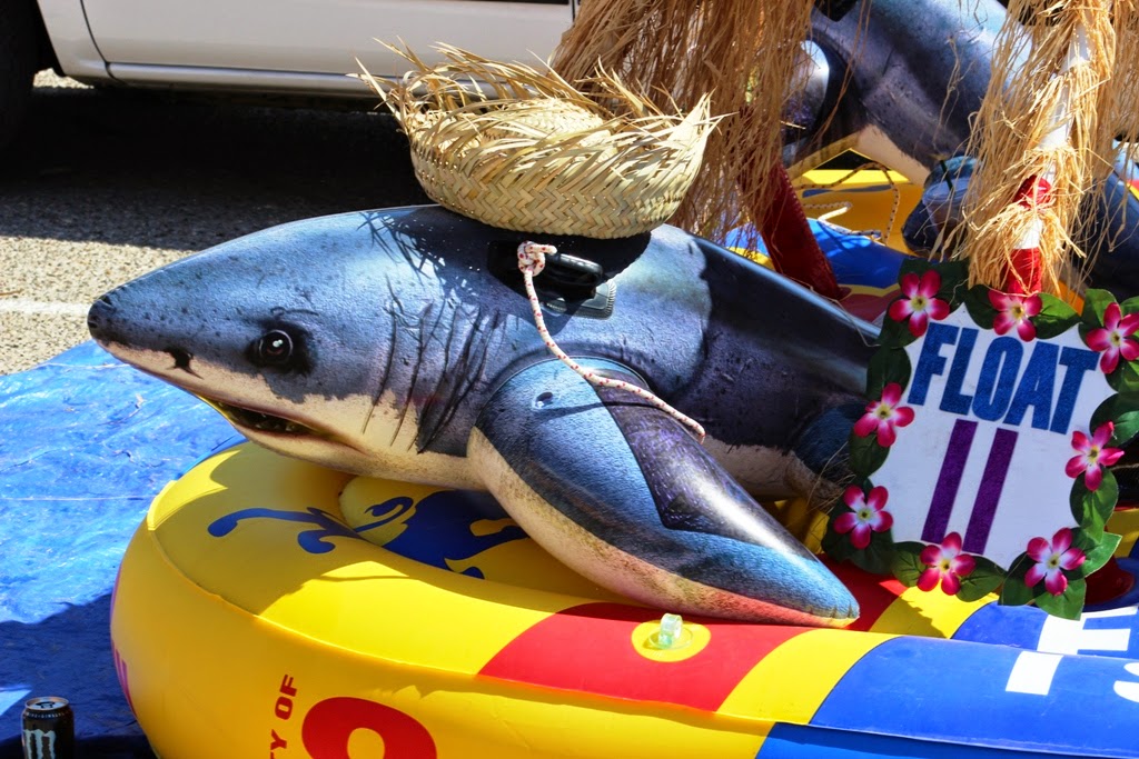 Laughlin Buzz: River Regatta Pictures Part II