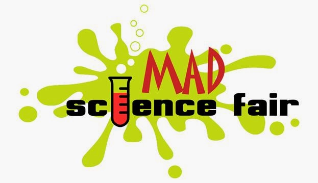 YCES Mad Science Fair: Display Board Examples