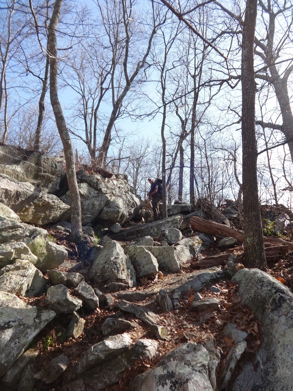 Appalachian Trail Section hiking: Rocky Run Shelter to Ensign Cowell ...