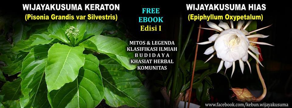 PERSATUAN BELADIRI BUDI SUCI: BUNGA TUJUH RUPA (kembang pitung werno ...