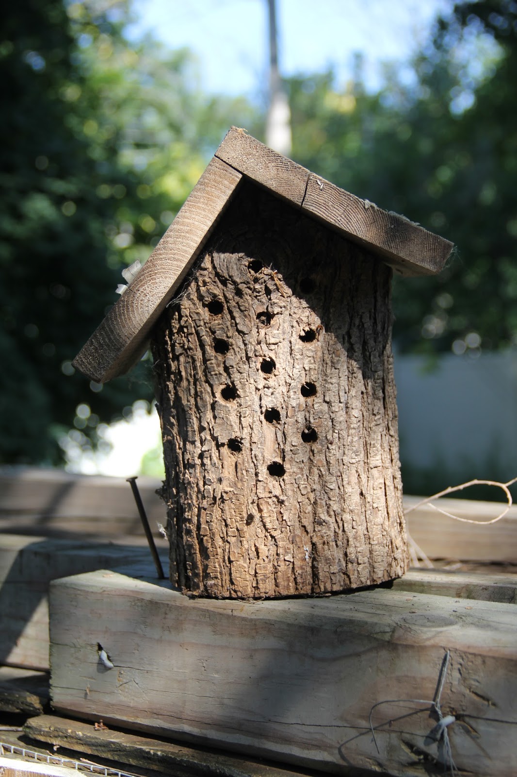 Isabella Conservation District Environmental Education Program ...