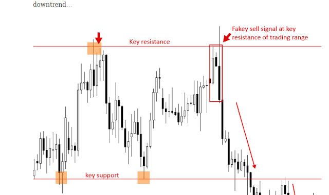 Learn How To Spot Fakey Setup Patterns - TradeFX