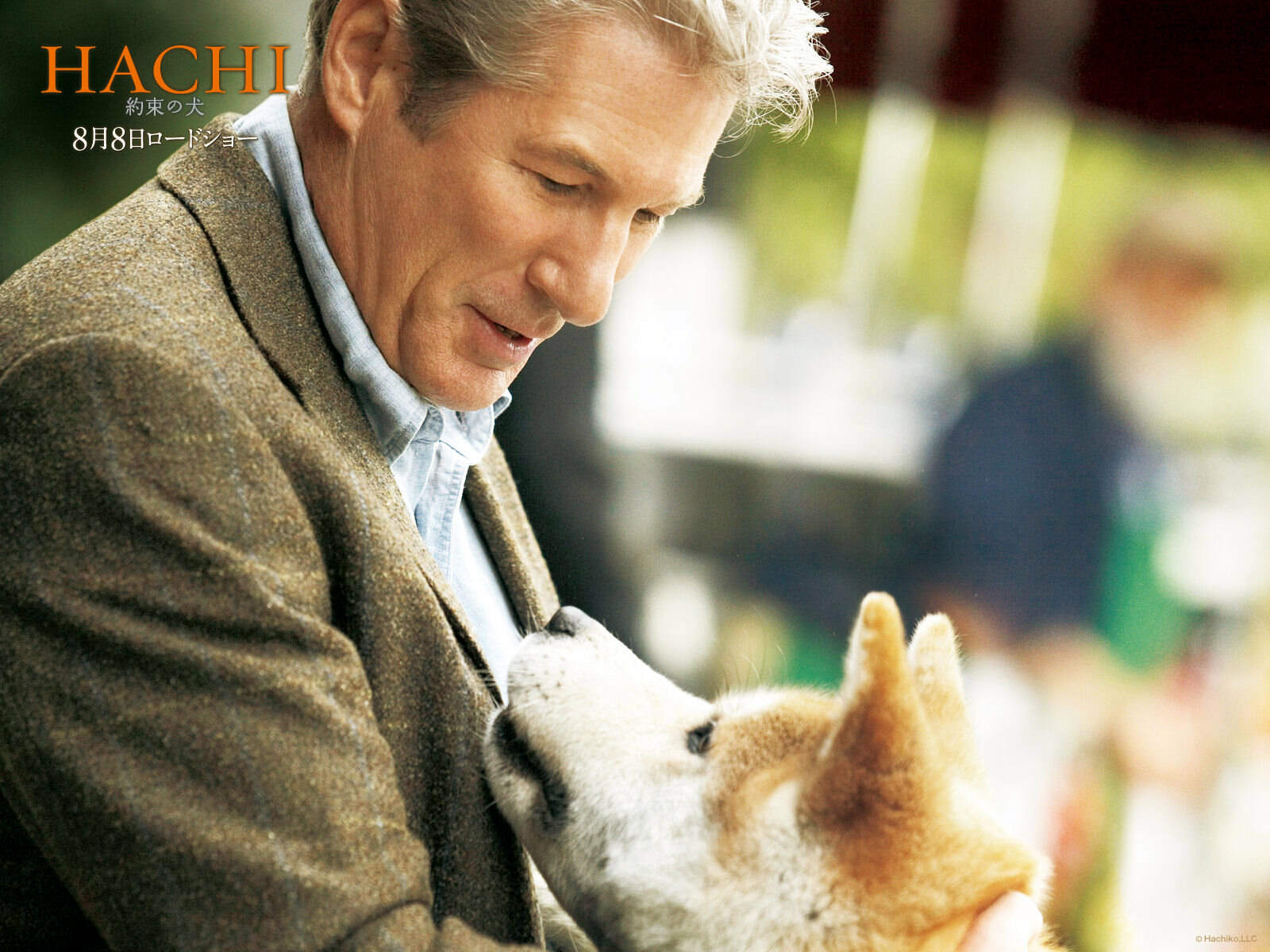 Movie Reviews by ISYS 100 : Hachi review by Lin