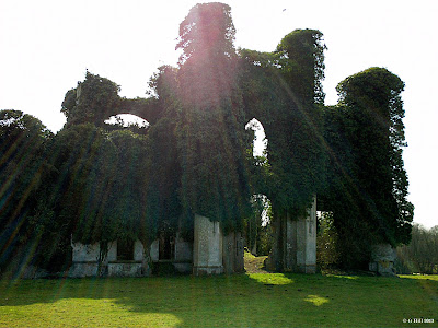 Ireland In Ruins: Moydrum Castle Co Westmeath