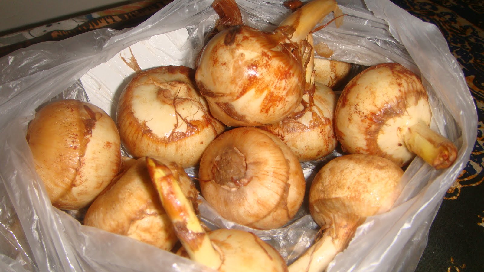 KaSih AbAdI...@@: buah ngaku