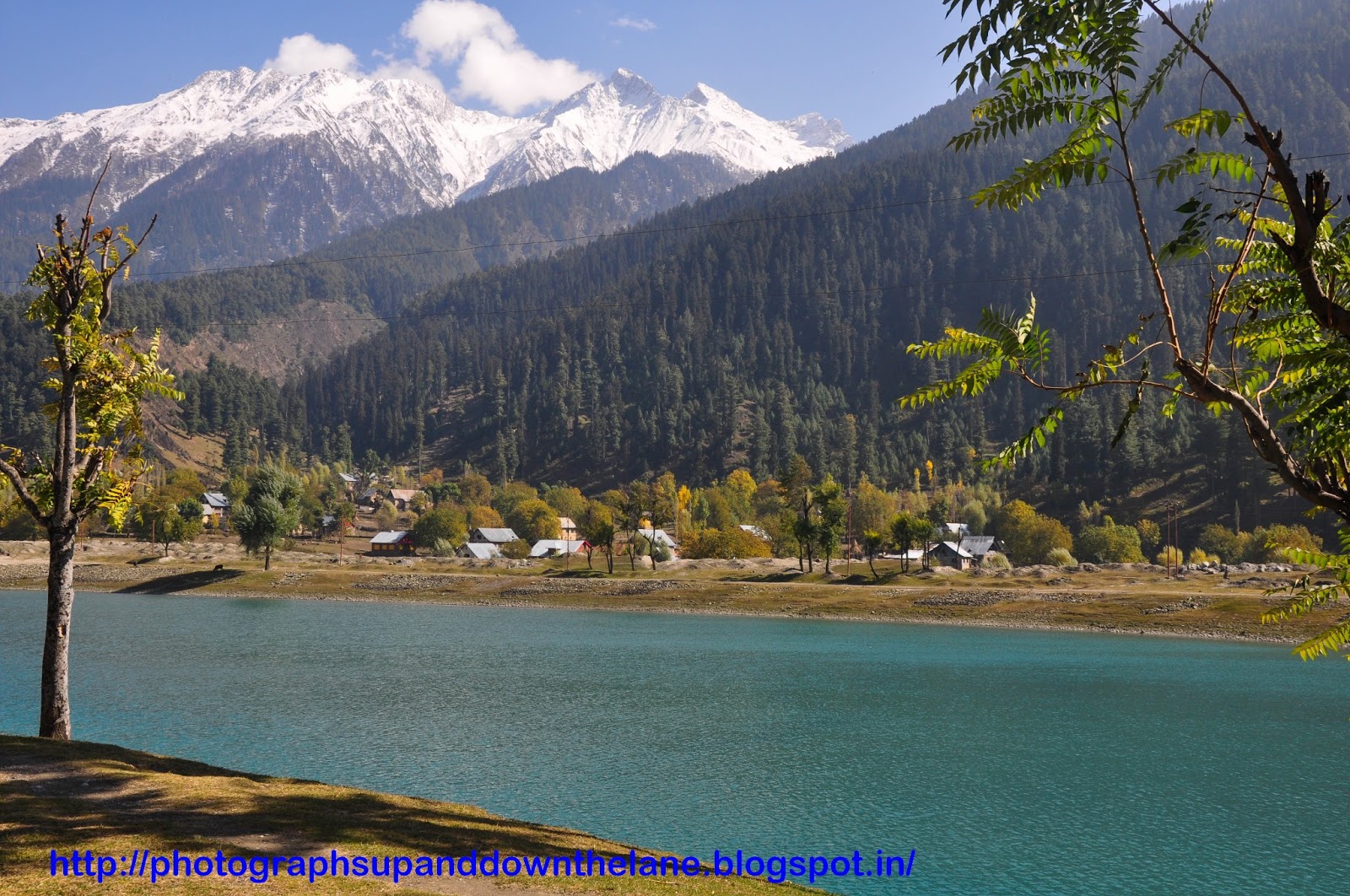 PHOTOGRAPHS UP AND DOWN THE LANE: Sonmarg-Meadow of Gold