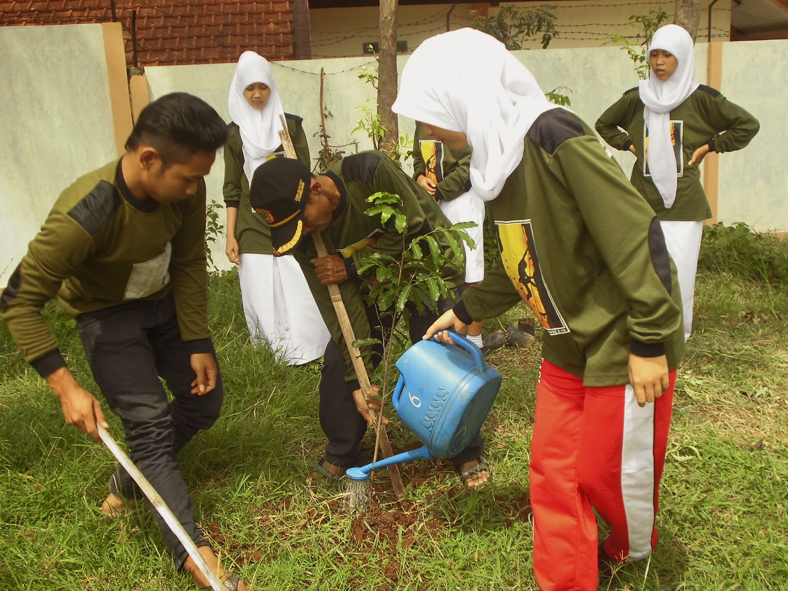 Reboisasi | DEWANATA