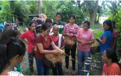 Quezon women farmers train in coco coir geonet-making | Sentinel Times