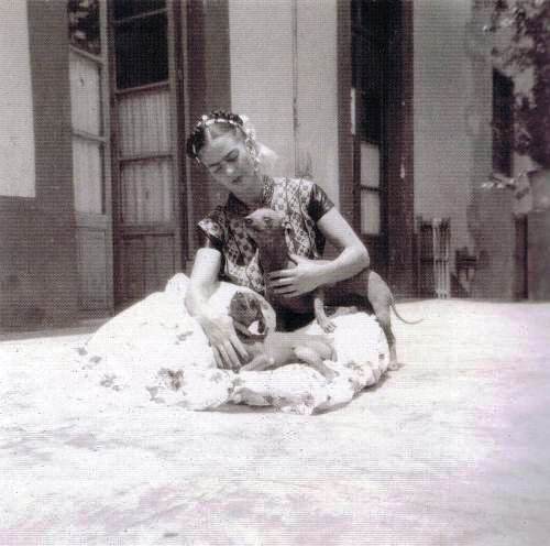|| Itzcuintli || Perro Mesoamericano: FRIDA KAHLO