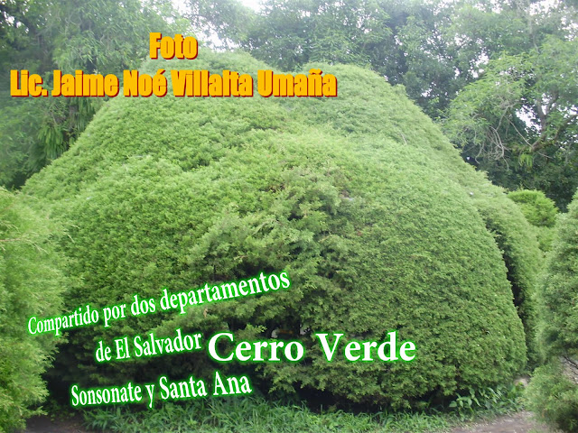SV: Cerro Verde