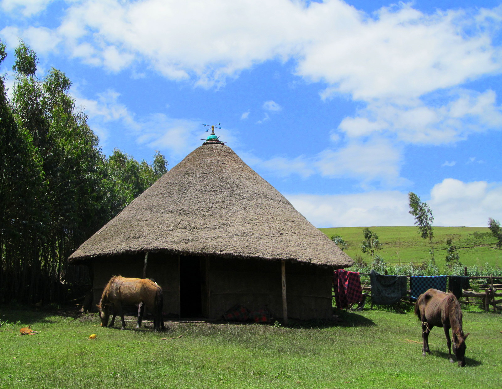 ...Two continents and an Ocean: October 2012
