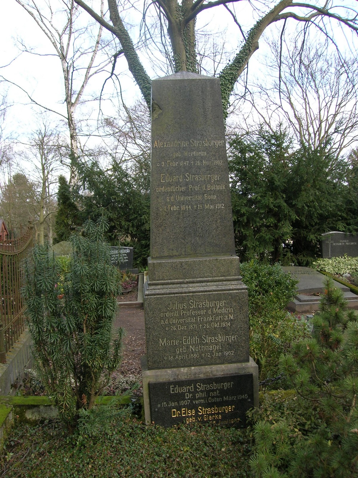 KultNews: Eduard Strasburger und sein Werk