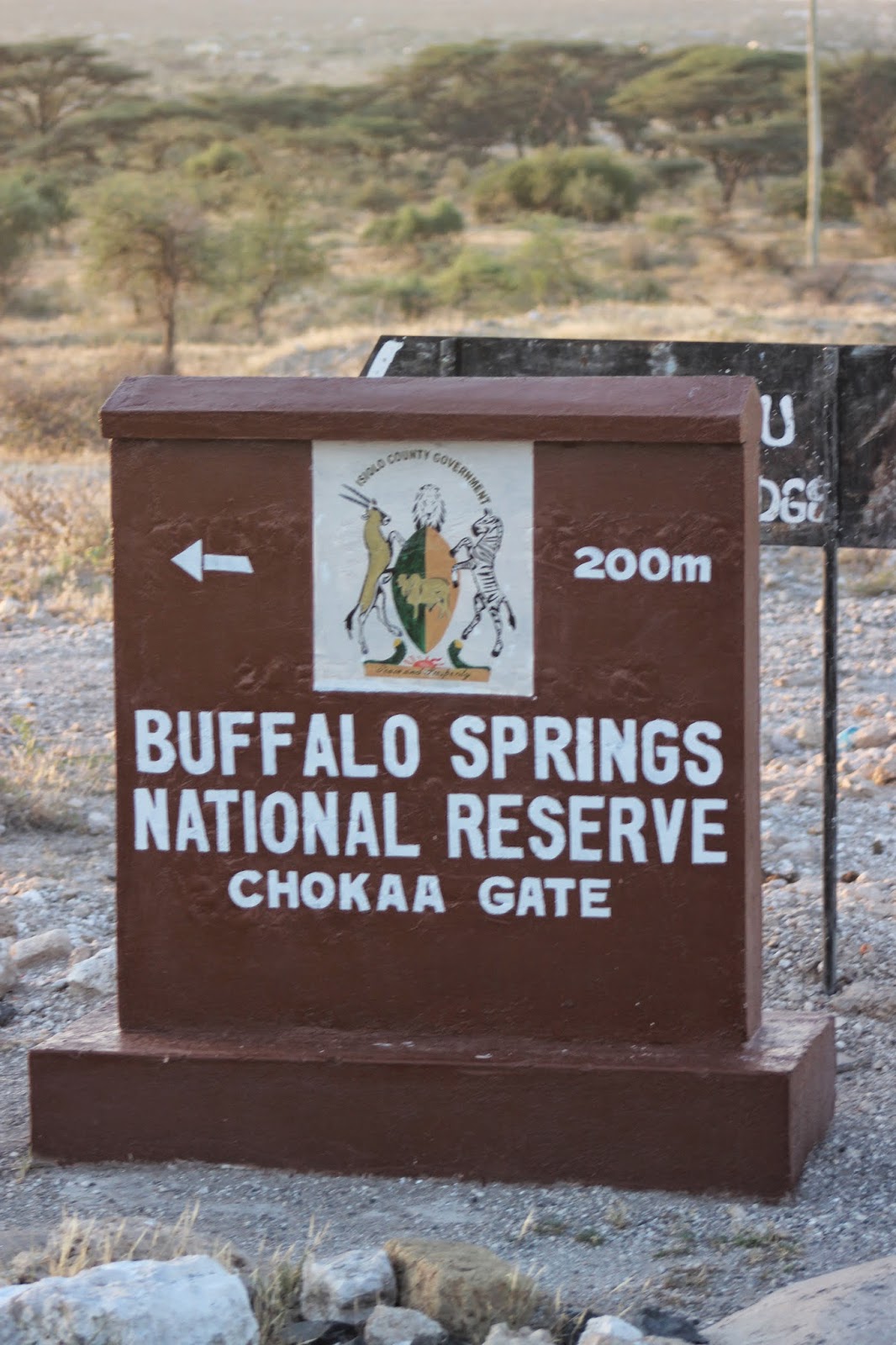 Souvenir Chronicles: AFRICA: BUFFALO SPRINGS NATIONAL RESERVE DAY 1 ...