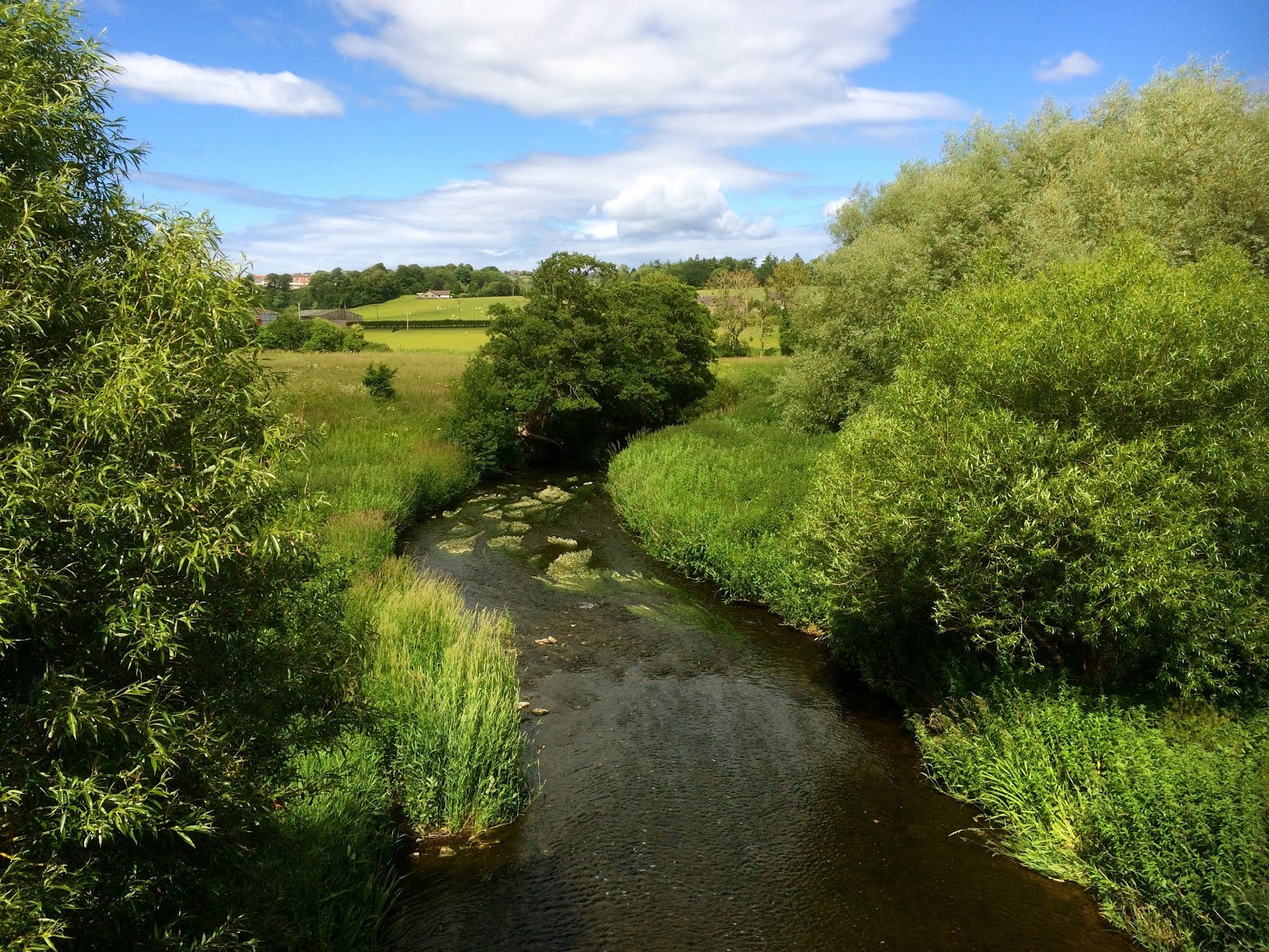 Days out in the Borders : Blackadder Water