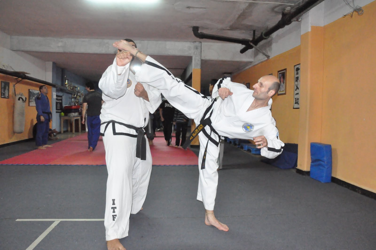 Taekwon-Do La Plata: Practicas de Bal Gisool (Técnica de ataque con pie)