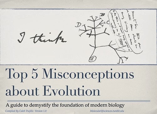 Infographic: 5 Common Myths about Evolution - Science in the City
