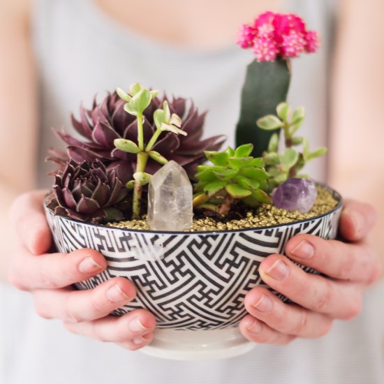 Official Blog Eirna Nurasikin: Terrarium,Konsep Seni Taman Mini Yang ...