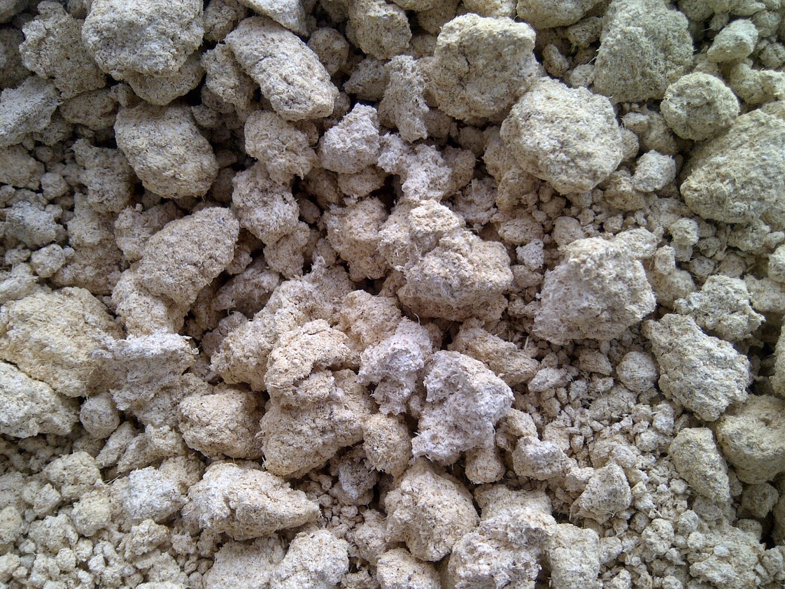 Ransum Cassabio (Onggok-Urea-Zeolit Fermentasi) untuk Broiler - Sekilas ...