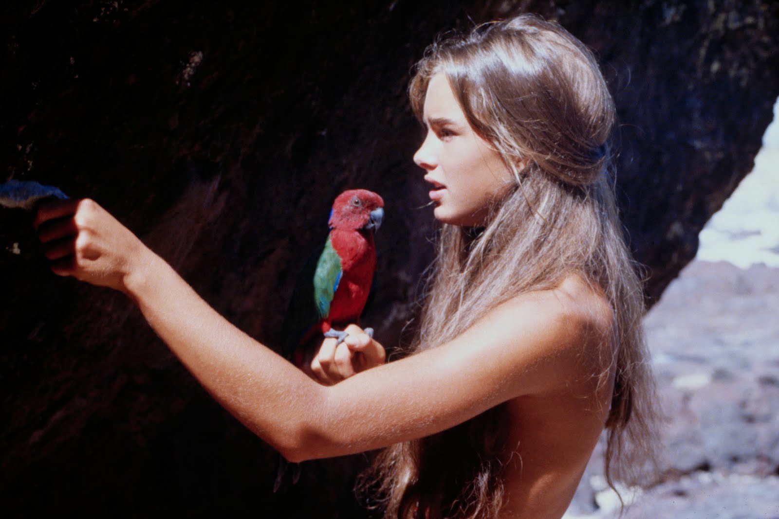 Movie Review Land THE BLUE LAGOON Movie Review Land THE BLUE LAGOON