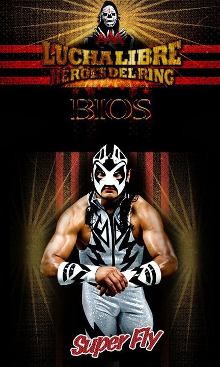 AAA. Héroes del Ring