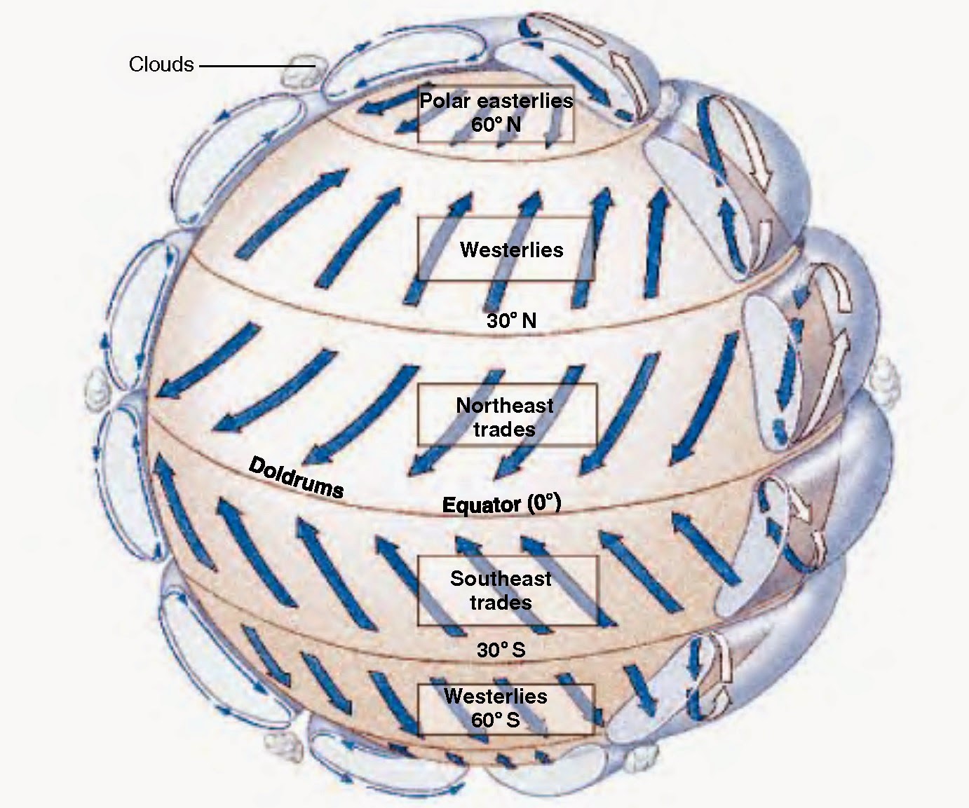 Hidrofilia: Correntes Marinhas