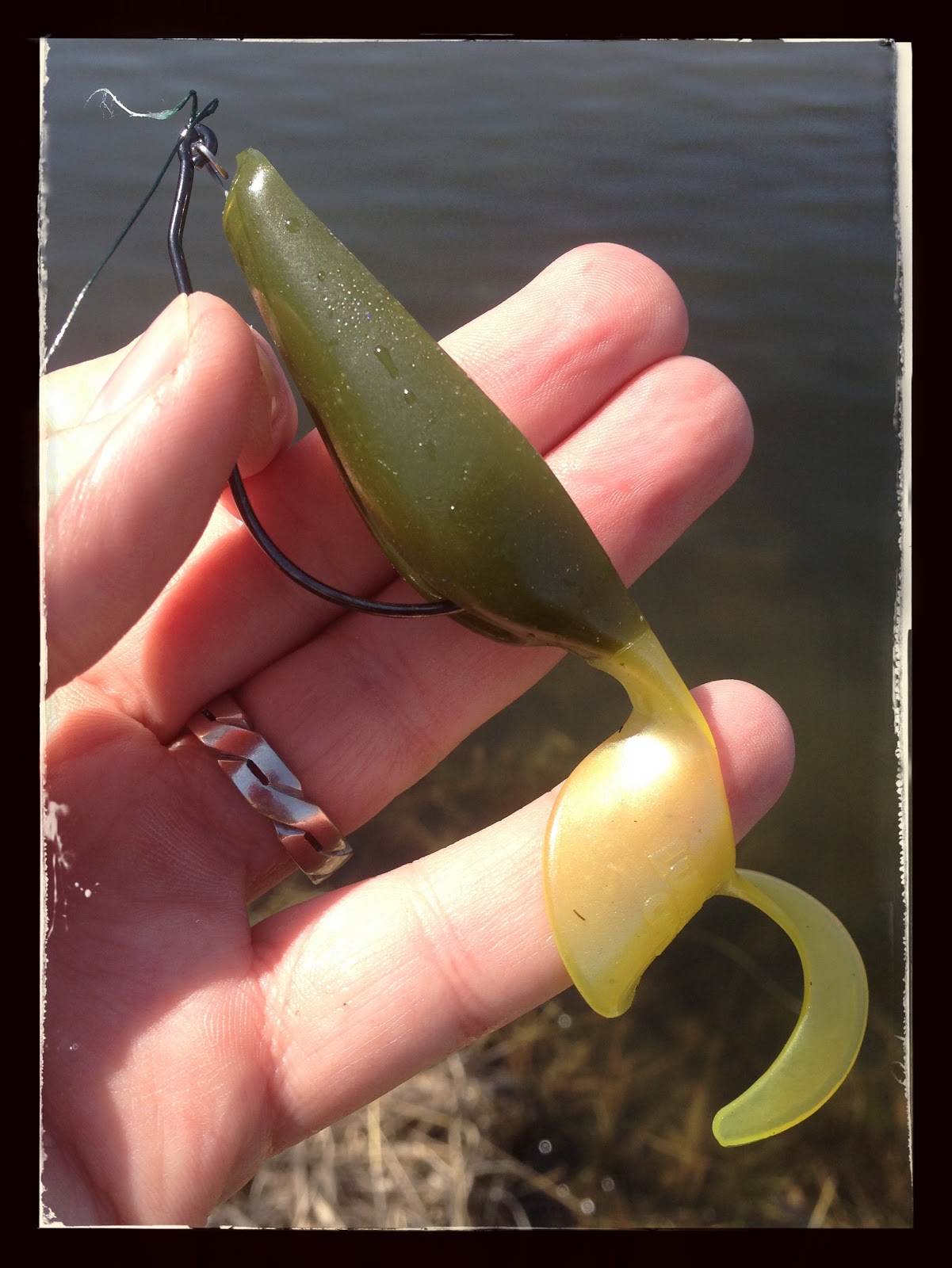 Bass Junkies Frog Pond: Lunker City Salad Spoon Review