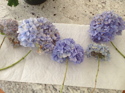 Two It Yourself: How to dry hydrangeas