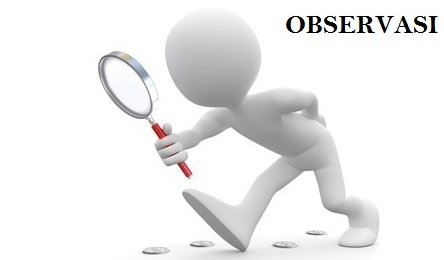 Pedoman Observasi Dalam Layanan Bimbingan Konseling - Jaini Loen