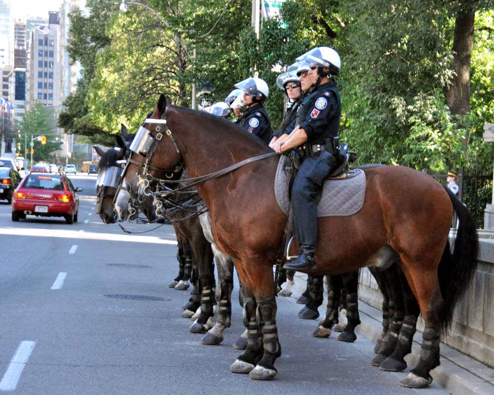 Toronto Grand Prix Tourist - A Toronto Blog: Police Horses to go to ...