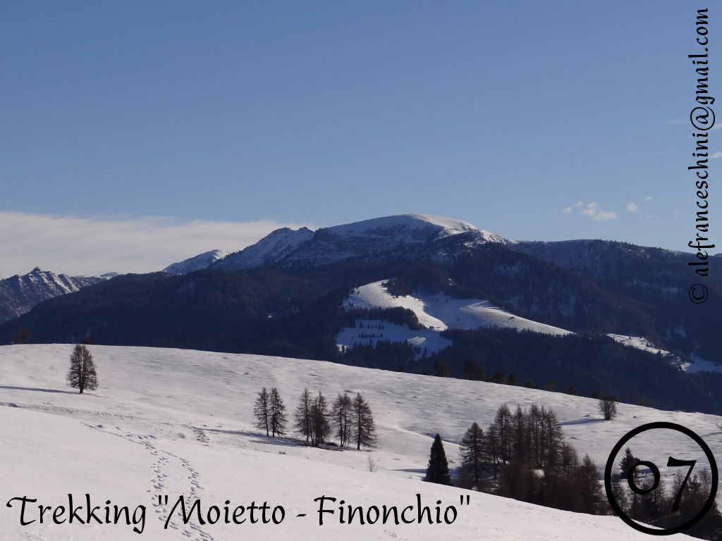 Trekking in Trentino: Moietto > Rifugio "Fratelli Filzi" (Finonchio)