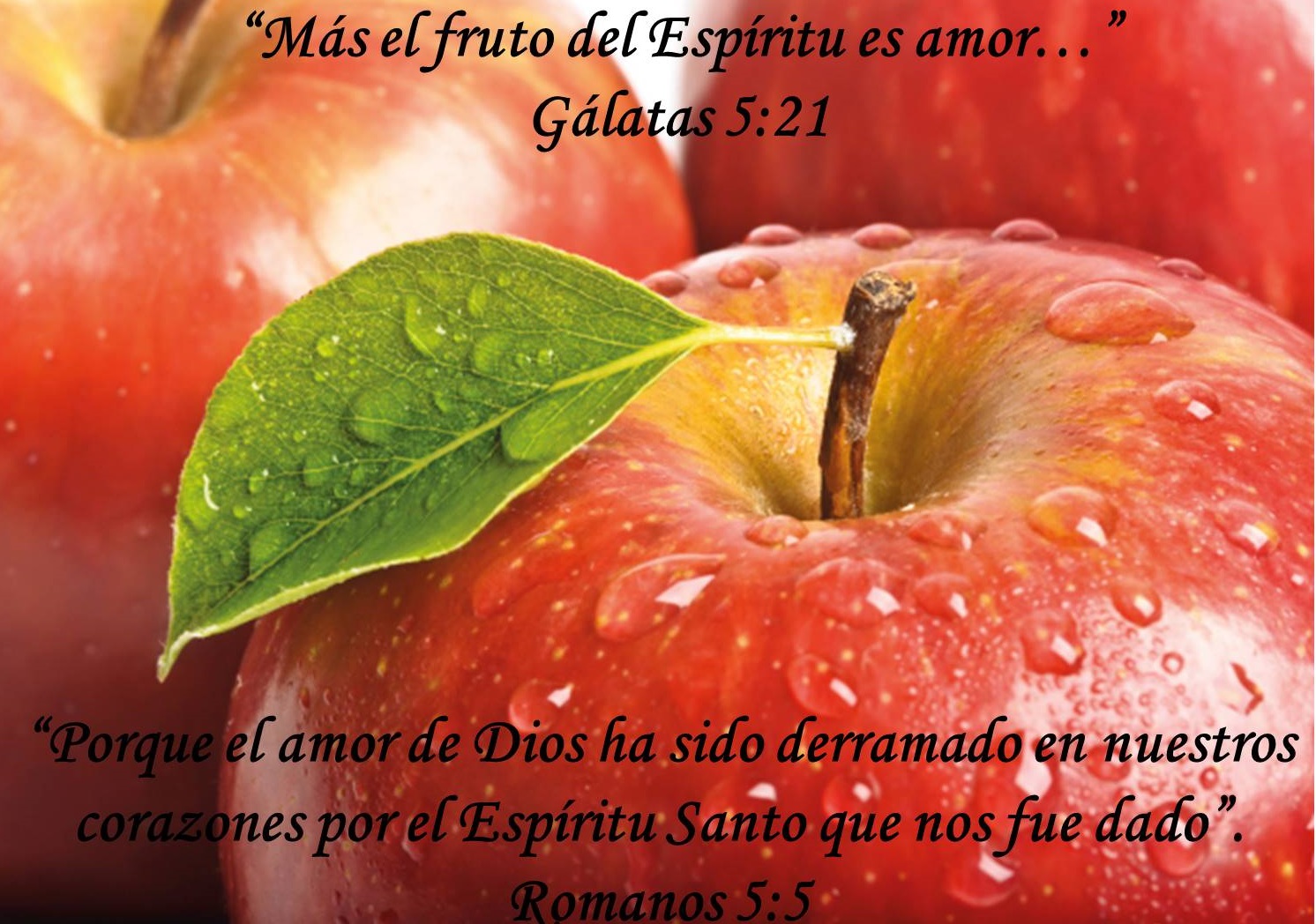 El Fruto del Espíritu: El Amor - Mundo Bíblico: El Estudio de su Palabra