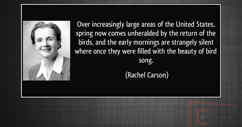 Silent Spring Short Q&A - English Made Easy