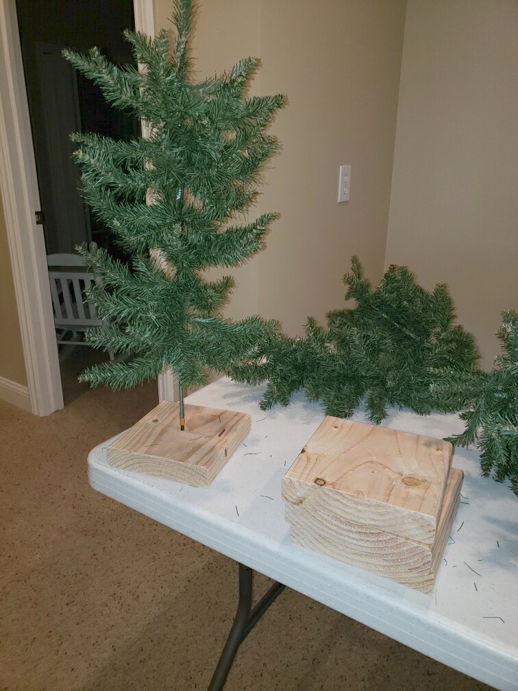 Make My Day Camp: Make Mini Trees From One Big Tree