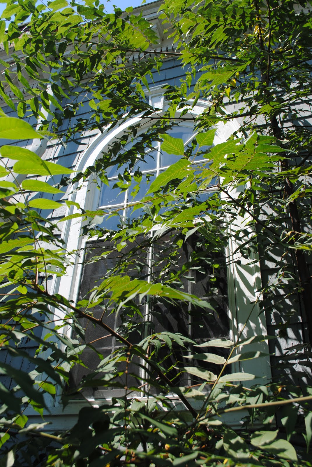 ClarenceGrad72: 2011