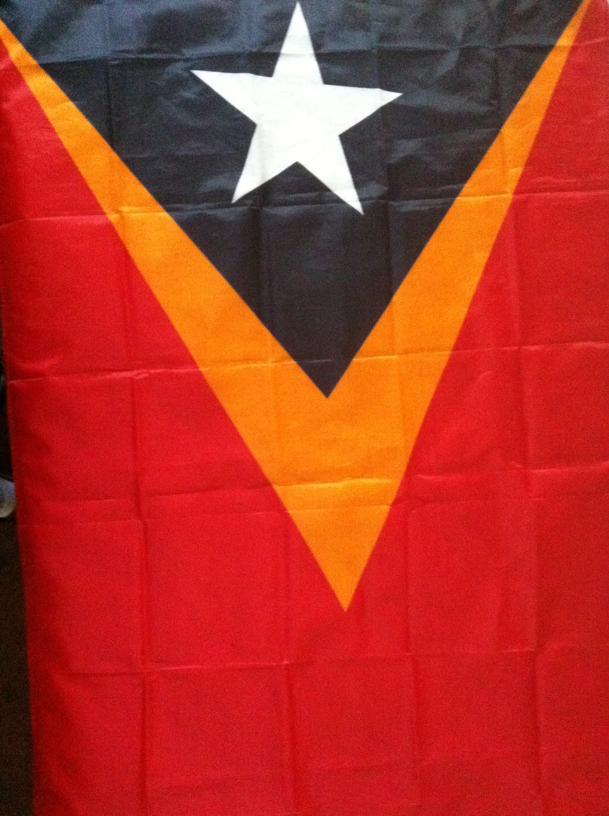 FRETILIN.Media: Bandeira falsu RDTL fabrikadu iha liur lori mai rai laran