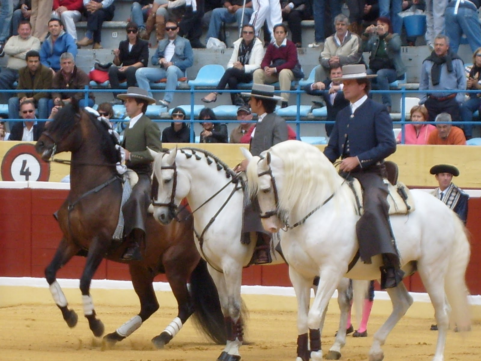 LOS TOROS CON AGUSTÍN HERVÁS.: VENTURA TRIUNFA, HERMOSO TOREA.