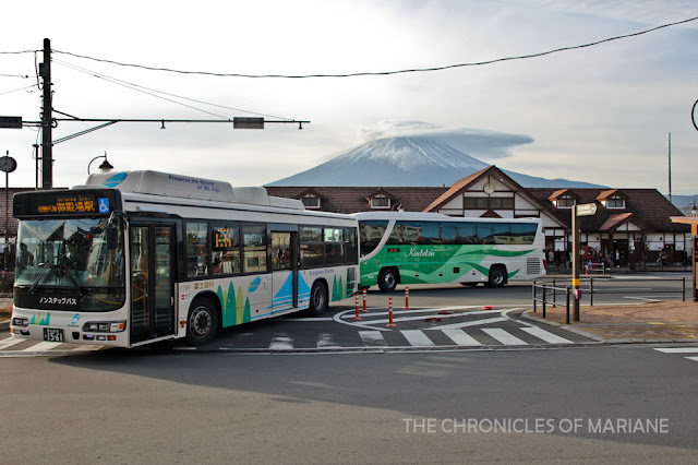 Fuji Five Lakes DIY Day Trip: Kawaguchiko and Saiko | The Chronicles of ...
