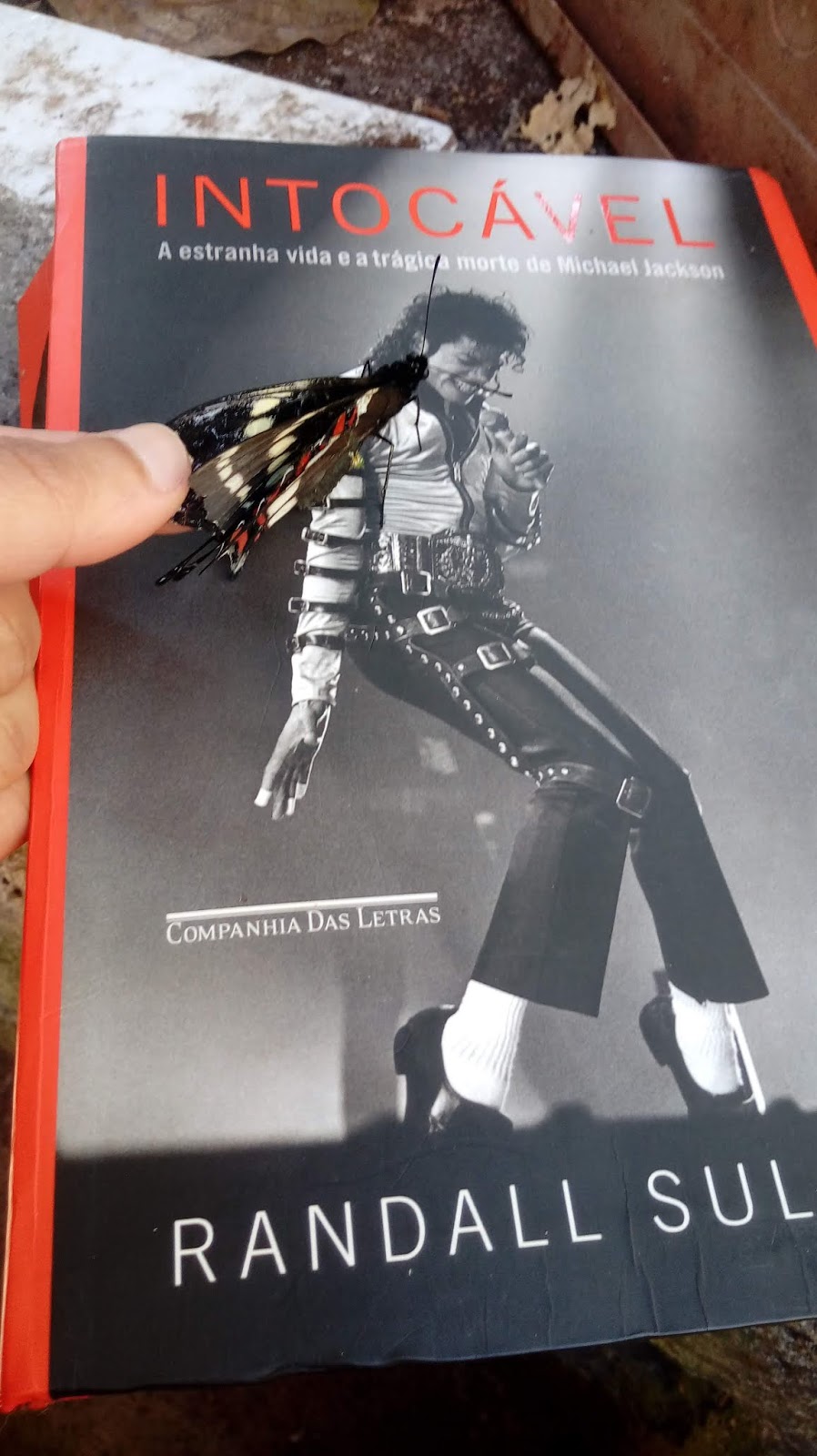 POESIA É DA HORA - 12 anos: Resenha sobre o livro: Intocável - A ...