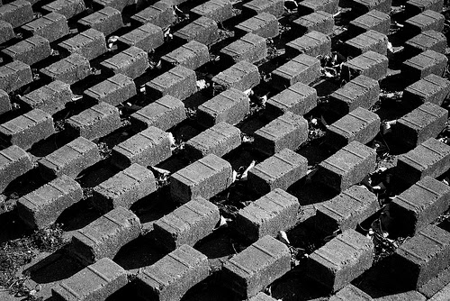 Nic Makepeace FD Photographic Media Year 2: Witch Way - X43 Bus Route ...