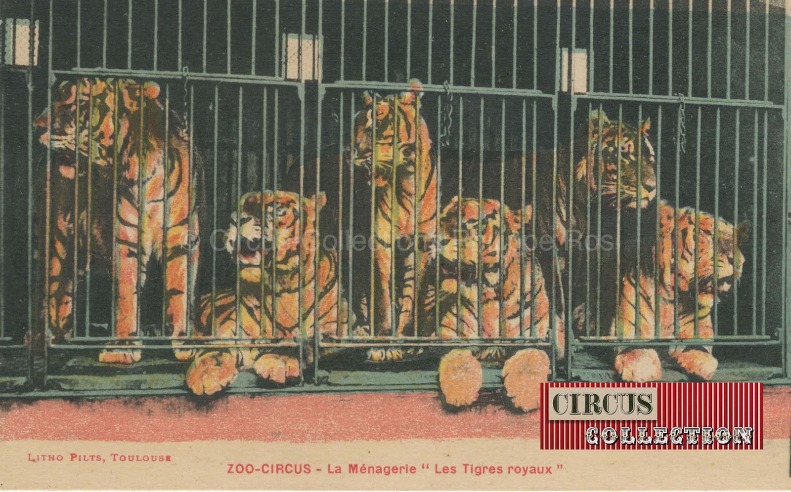 Circus -Collection: Zoo-Circus 1925, carte postale