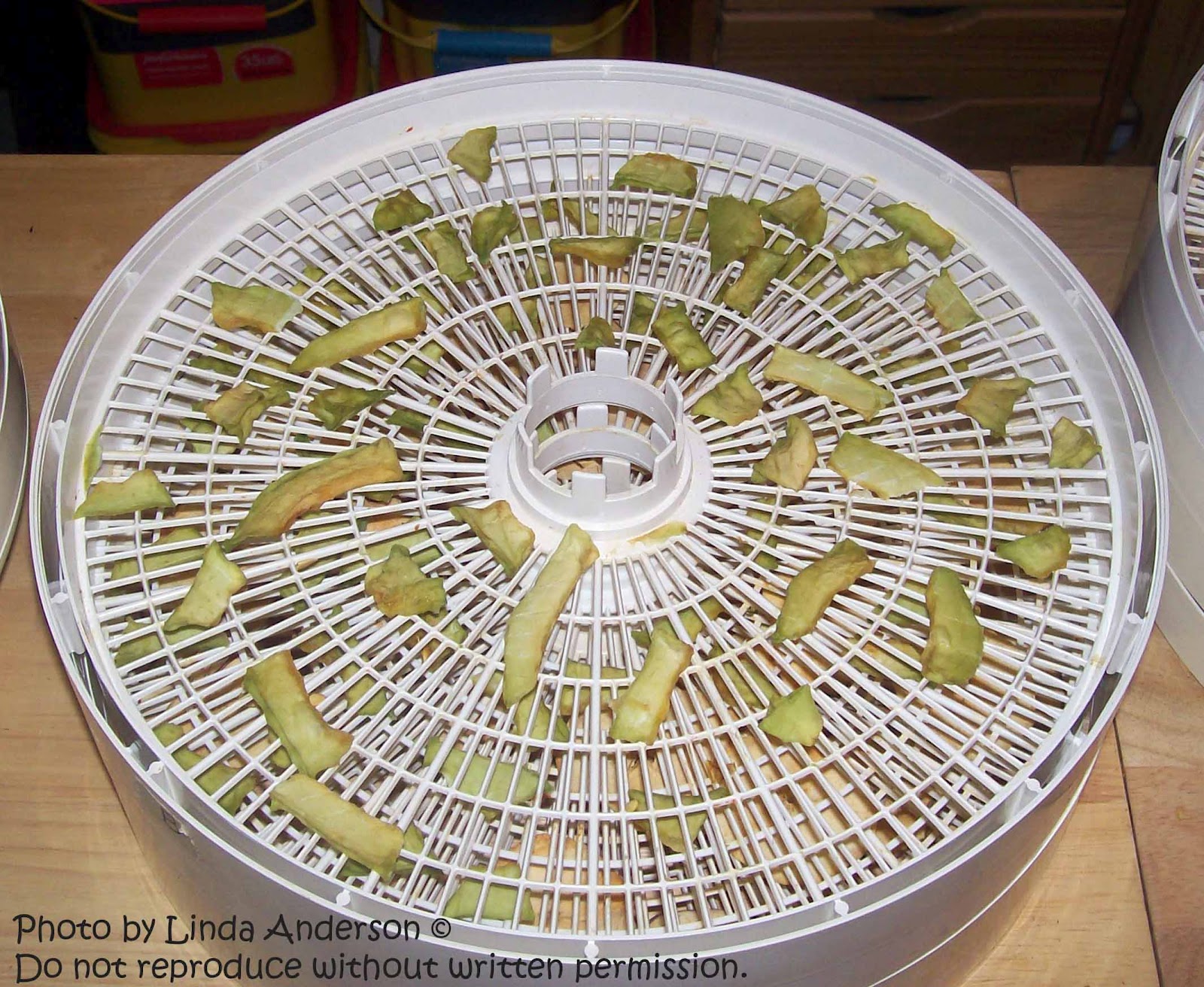 Dehydrating Way Beyond Jerky: Dehydrating Cantaloupe